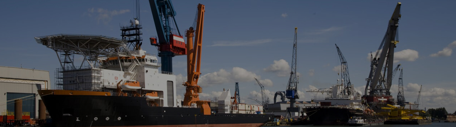 Al-Rashed International Shipping Company B2B Portal